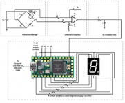 Teaching Interests - Rashtian, Hooman